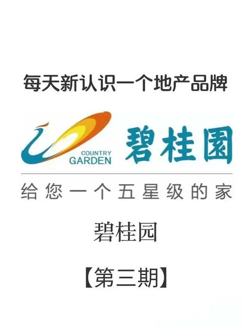 碧桂园的口碑截图