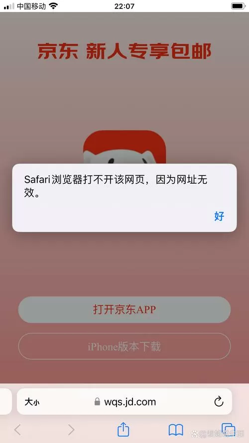 苹果手机无法打开浏览器