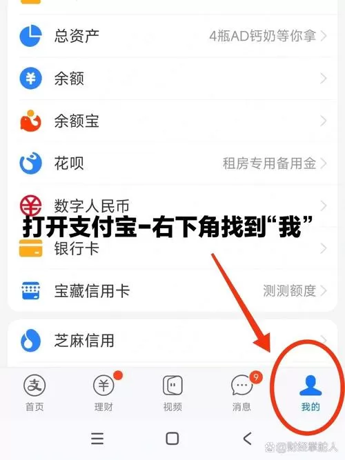 如何关闭宝付支付图标