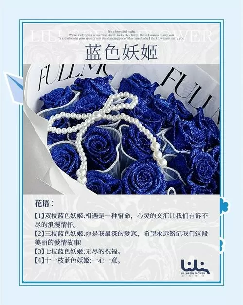 蓝色的妖姬是什么意思图标