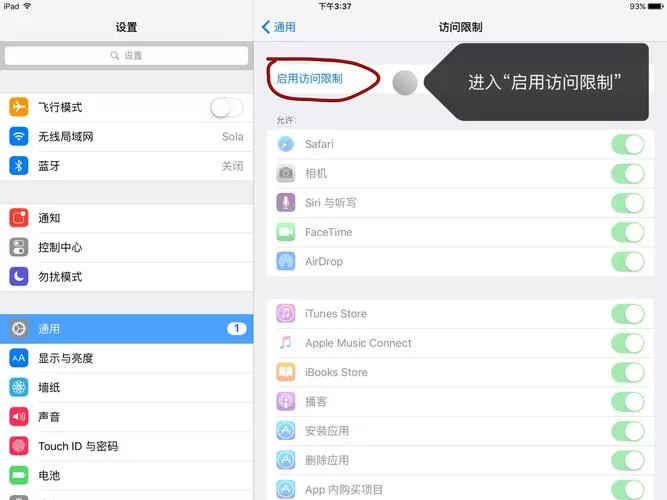 ipad怎么打开访问限制图标