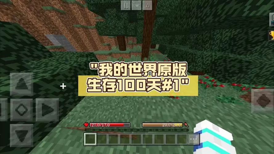生存100天无敌图标