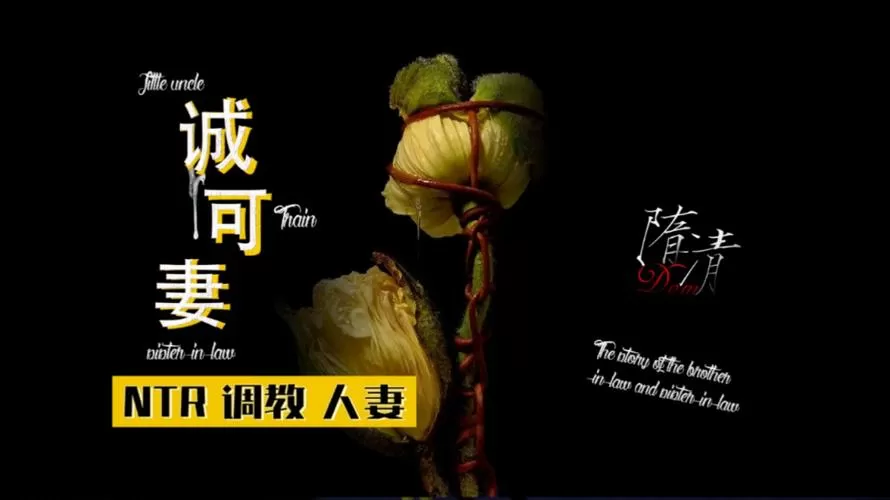 ntr金手指黑屏图标