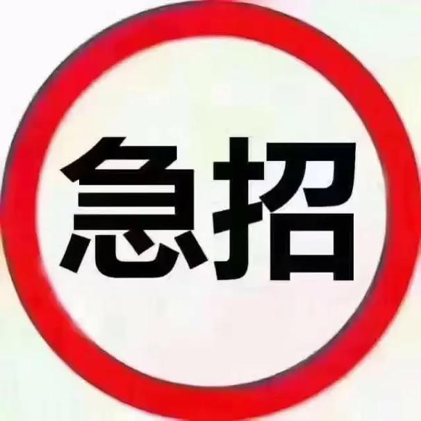 绥中急招一天一结