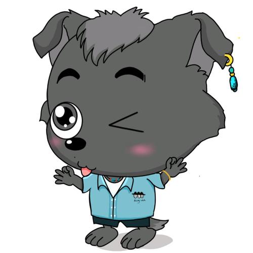 小灰灰直装v3.0最新版本更新内容