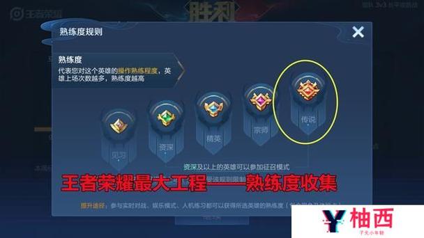 王者荣耀挂机刷熟练度脚本截图
