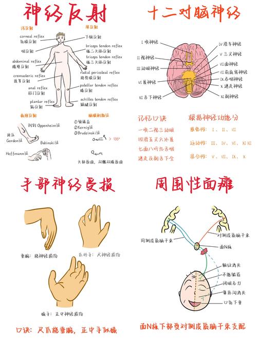 深反射和浅反射的意义截图