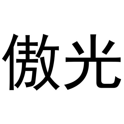 敖光直装下载截图