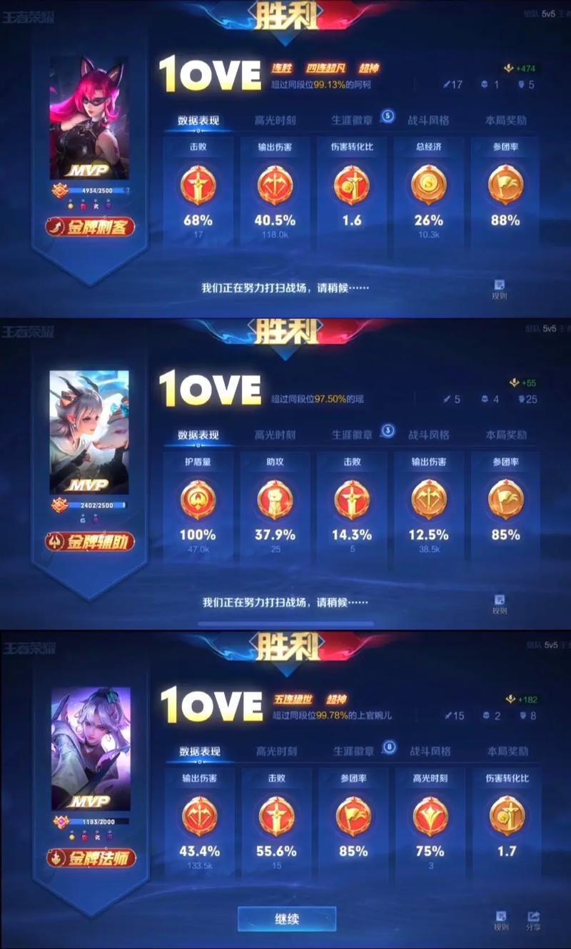 王者辅助评价怎么写