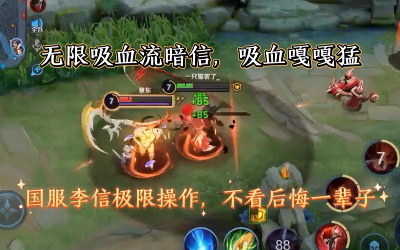 李信攻速暴击吸血流