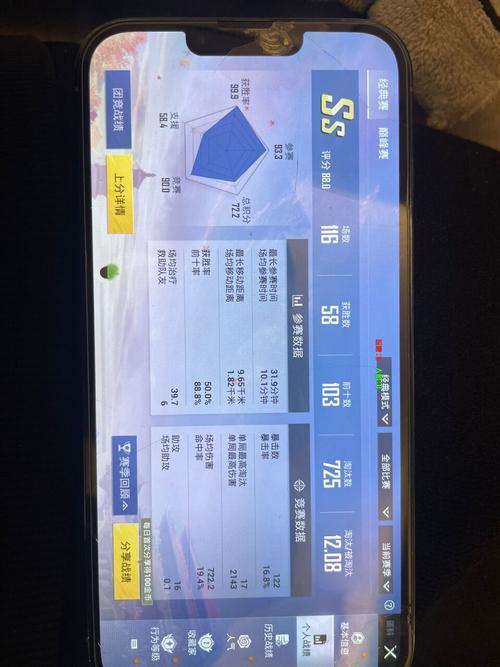 和平精英永久直装购买网站