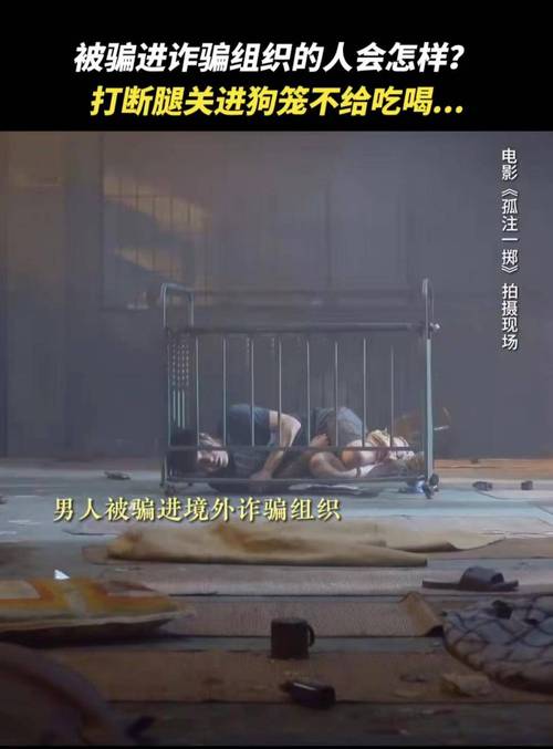 缅北禁地破解app下载图标