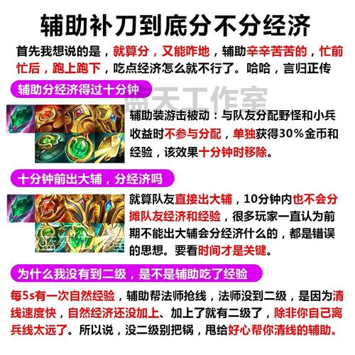 辅助不参与分配经济是什么意思
