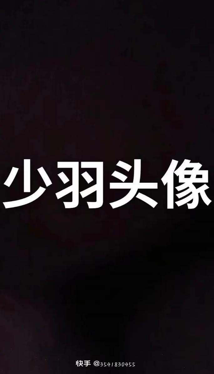 少羽直装v1