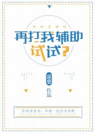 再打我辅助试试肉在哪
