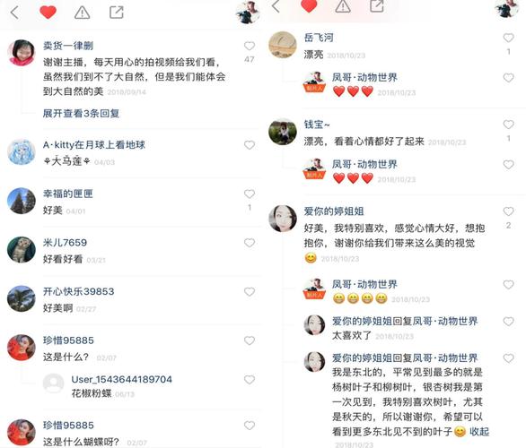 ks家人亲密度自助下单