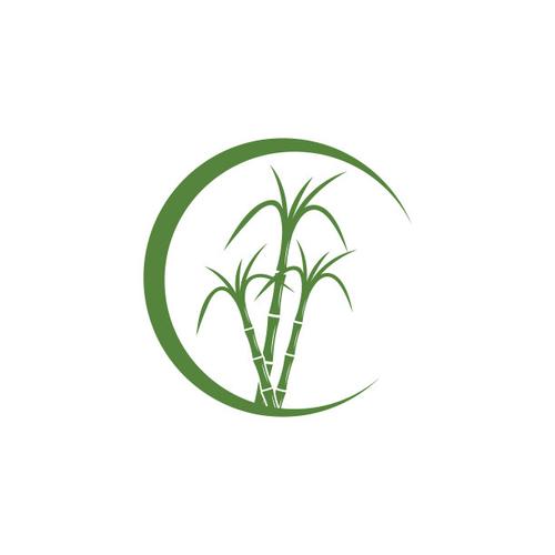dy6.6直装大甘蔗