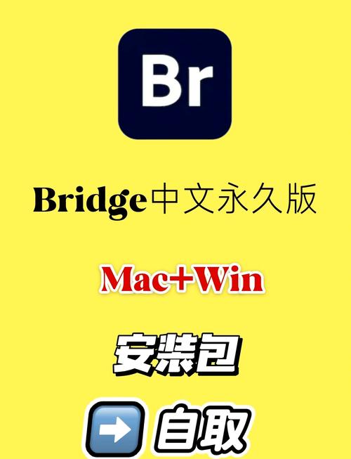 国际服外免费挂下载截图