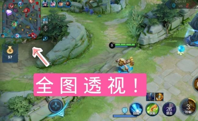 王者一键全图透视(免费)截图