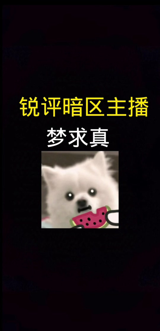梦求真(暗区突围)图标