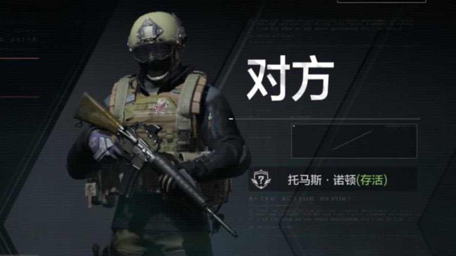 暗区突围显示人机数量软件截图