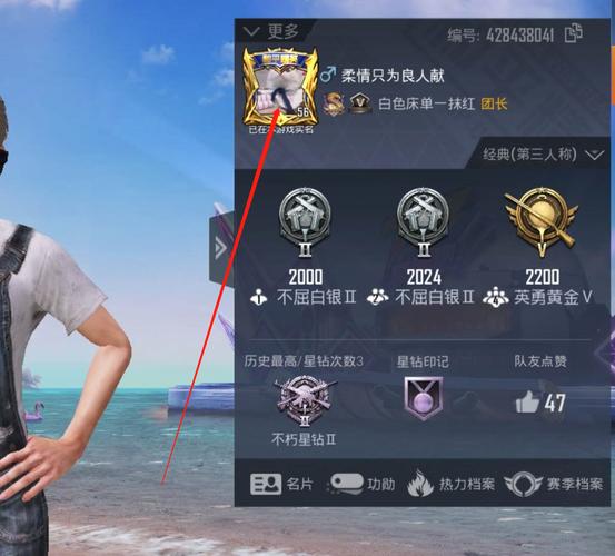 和平精英微信支付怎么设置出来图标
