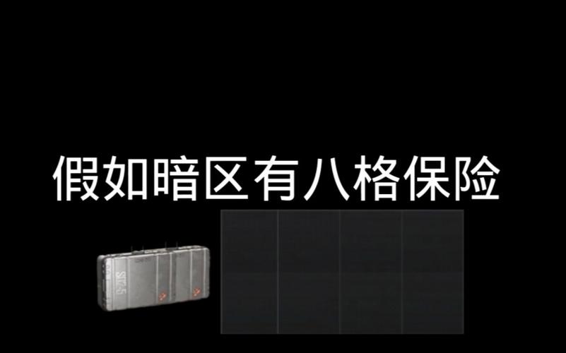暗区能够看见保险里东西的是什么挂截图