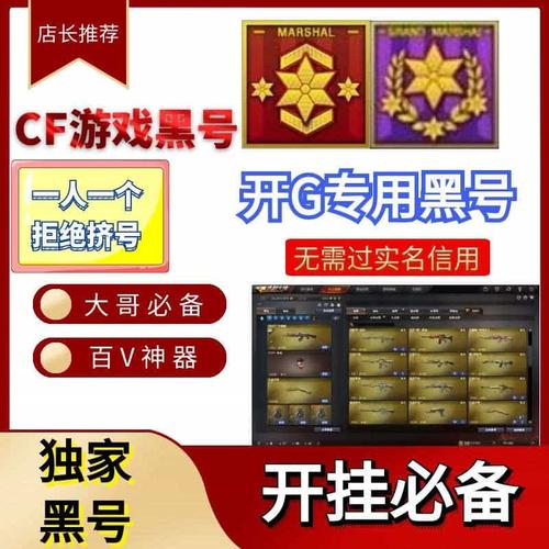 穿越火线黑号购买网站截图