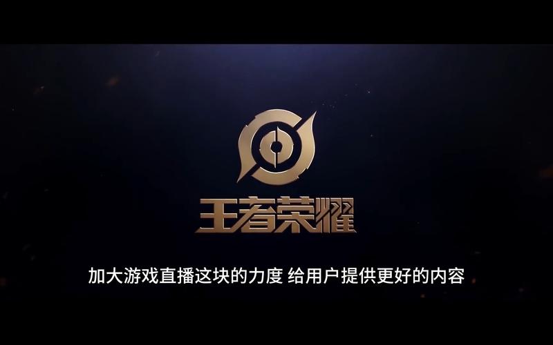 王者公益内核透视下载图标