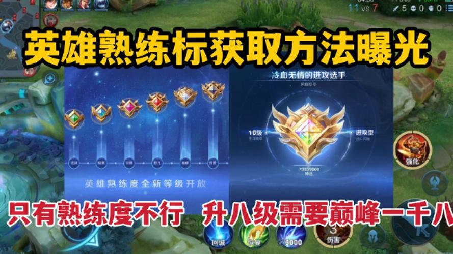 王者黑钻熟练度怎么获得截图
