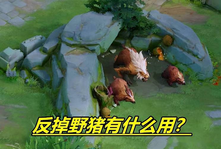 王者野猪多少金币截图