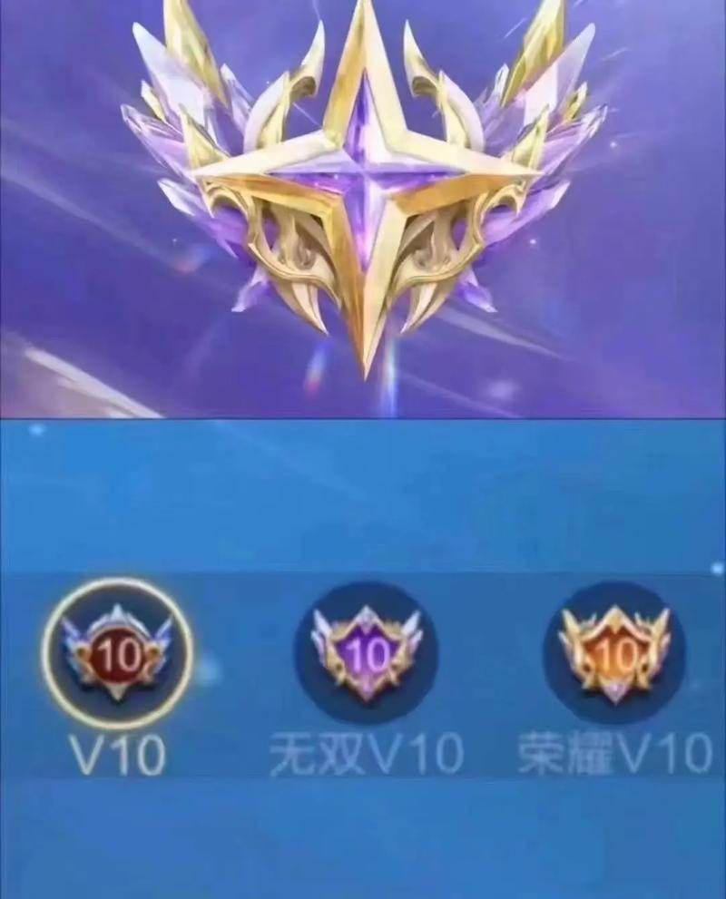 用贵十皮肤能干嘛图标