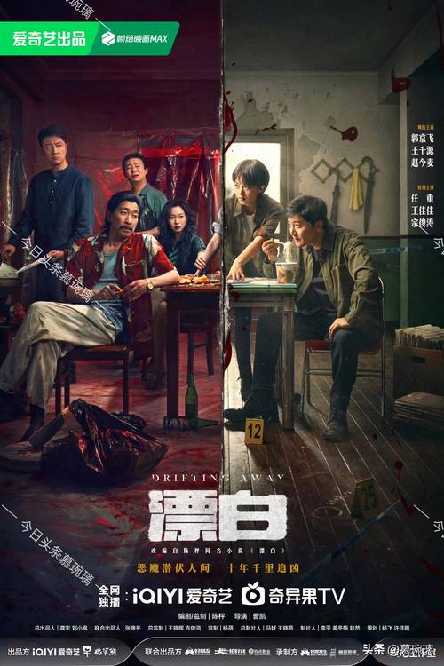 迷雾公益直装17.0免费