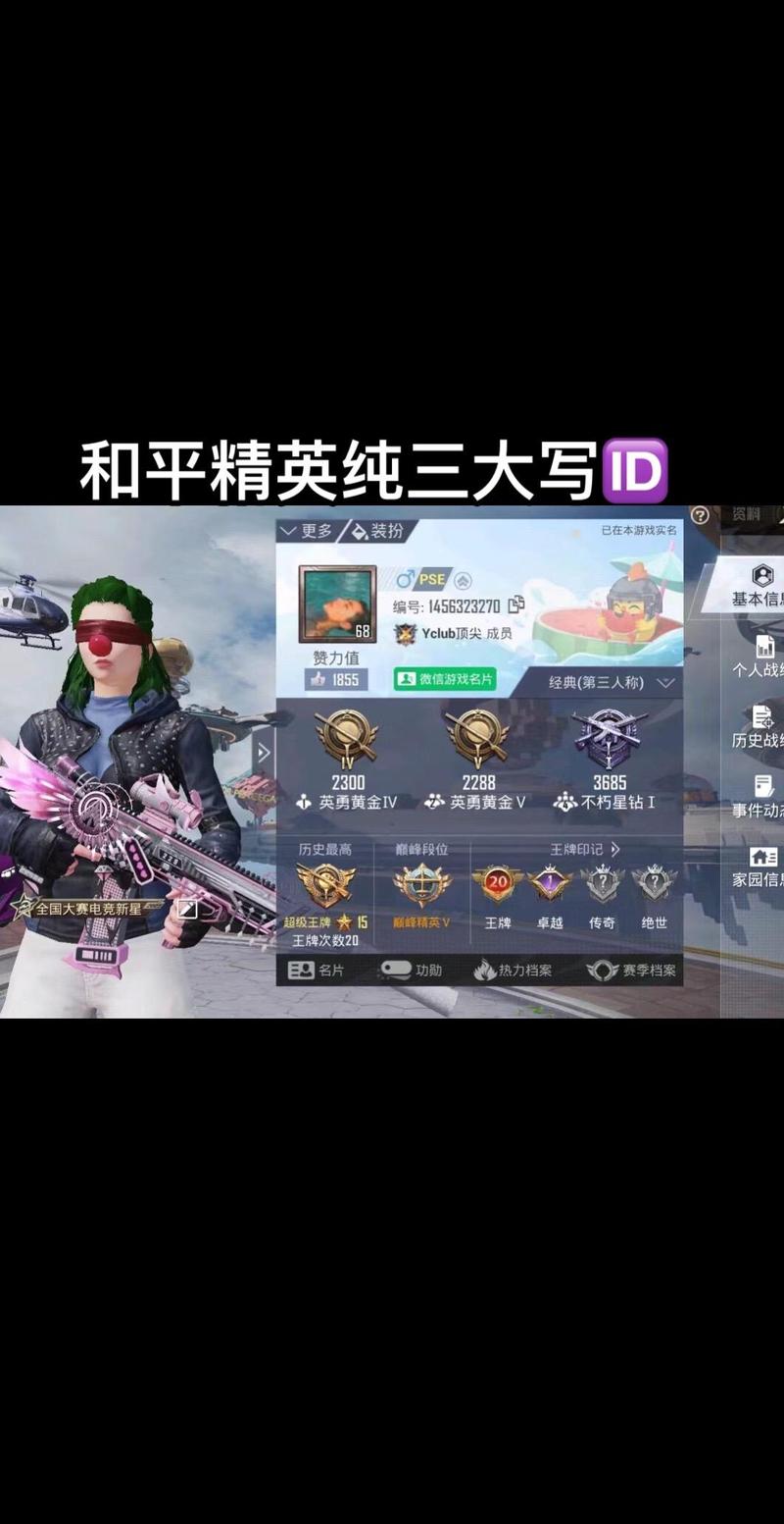和平精英修改ID外挂在线购买截图