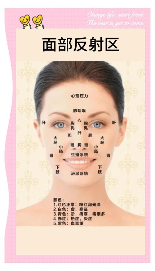 女人面部反射区图解图标