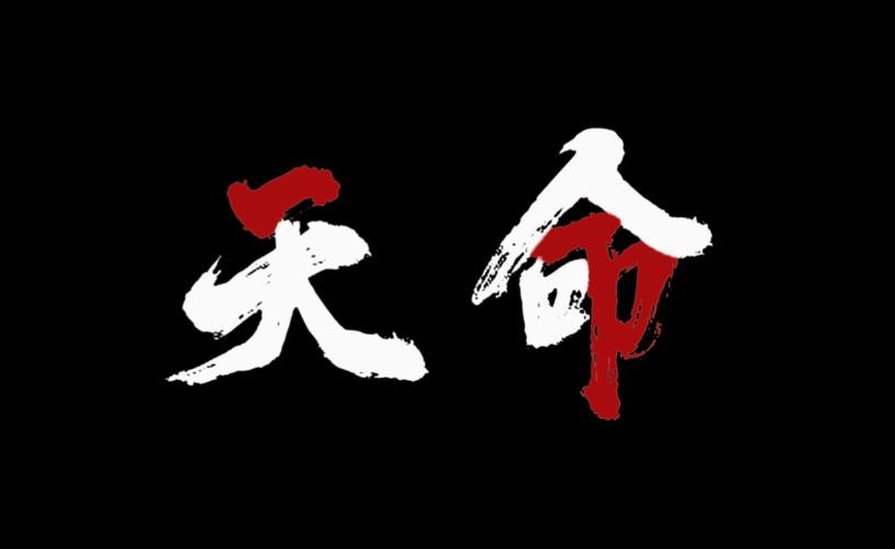 天命直装