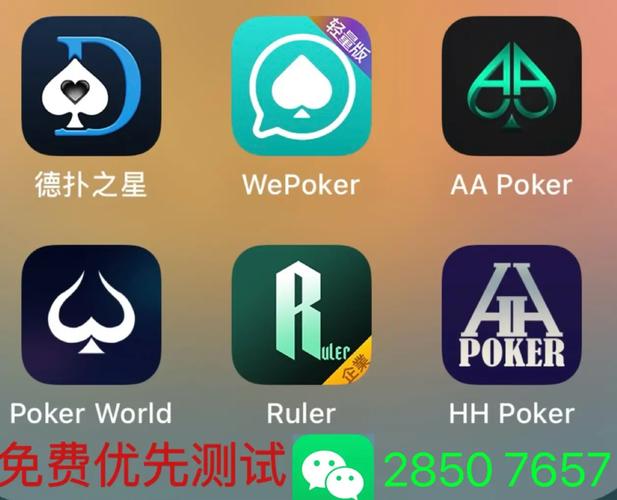 wepoker透视辅助挂截图