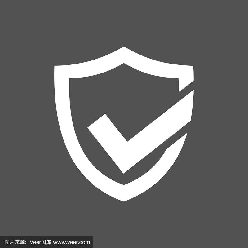 辅助装主动装备护盾截图