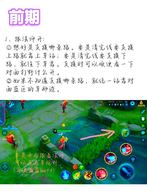 辅助如何为队友提供视野截图