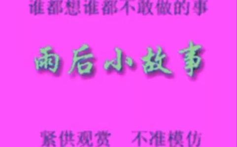 《雨后小故事》百度网盘截图