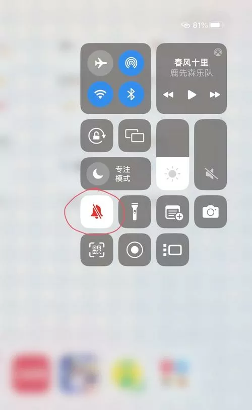 ipad怎么关掉打开的程序截图