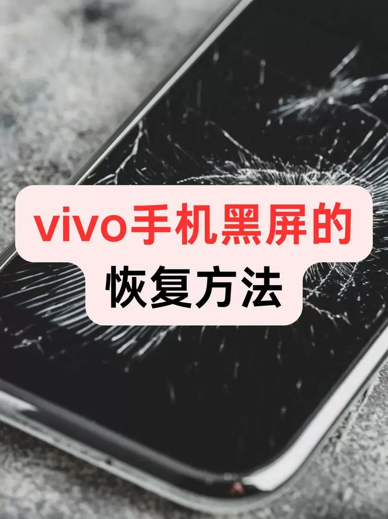 vivo手机黑屏了怎么恢复正常图标