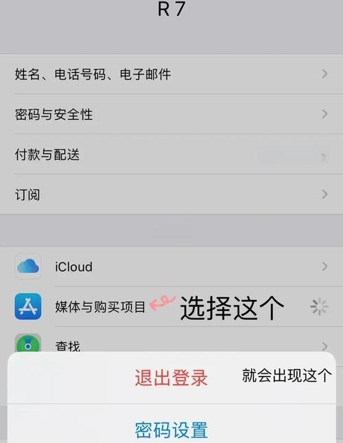 苹果账户如何退出
