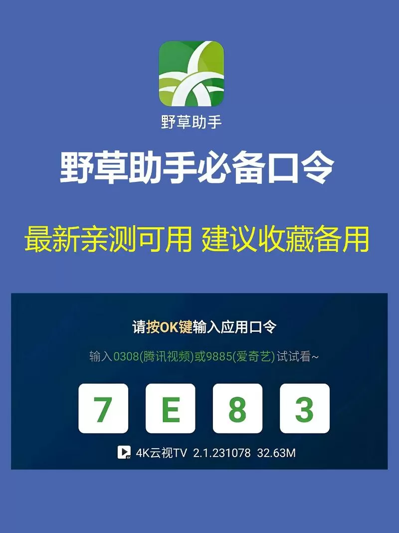 2025野草助手新电视家口令图标