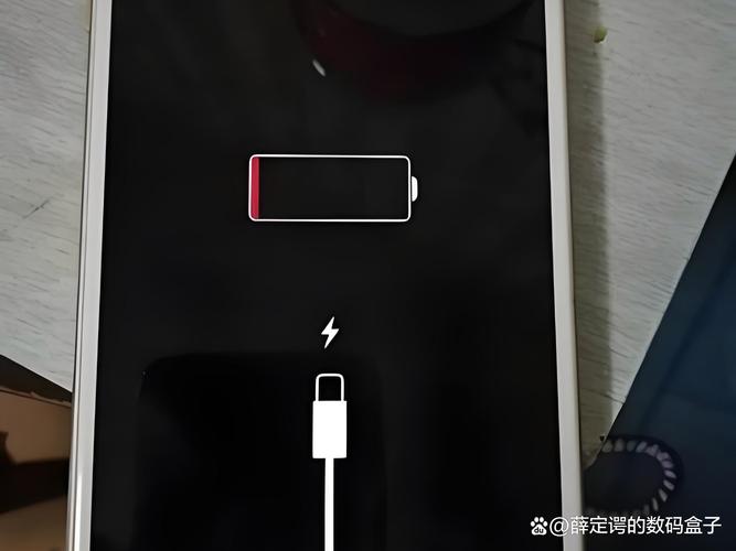 苹果6s充电充不进去截图