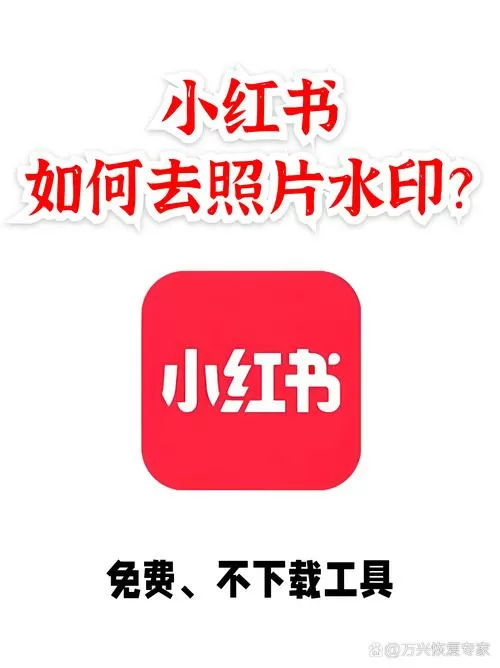 小红书文档怎么打印出来
