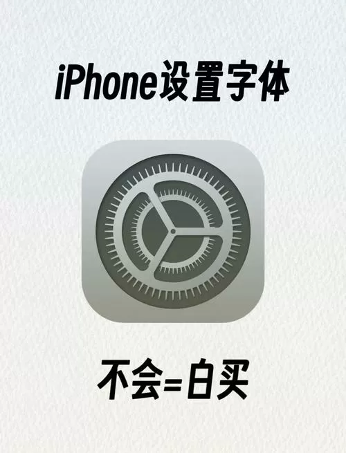 iphone系统语言设置图标