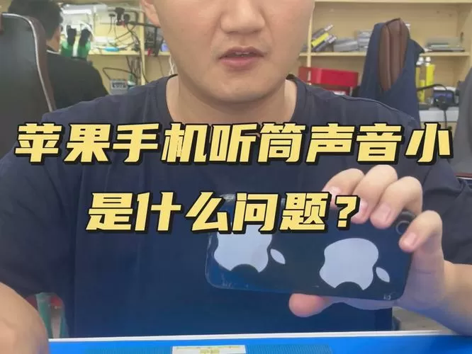 手机的扬声器声音小是怎么回事截图