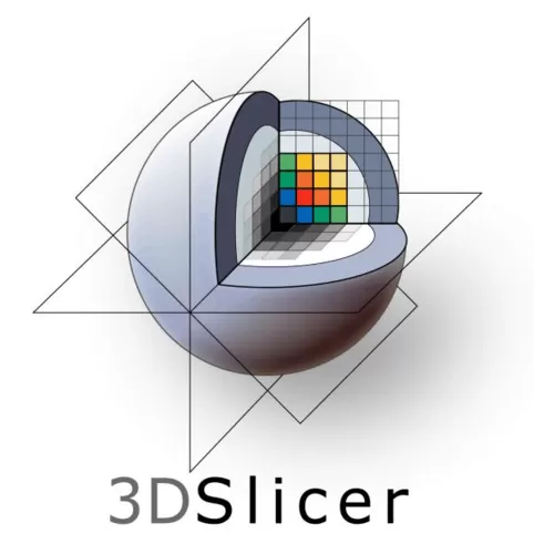 3d slicer三维重建截图