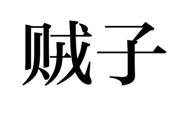带贼的成语有哪些成语大全图标